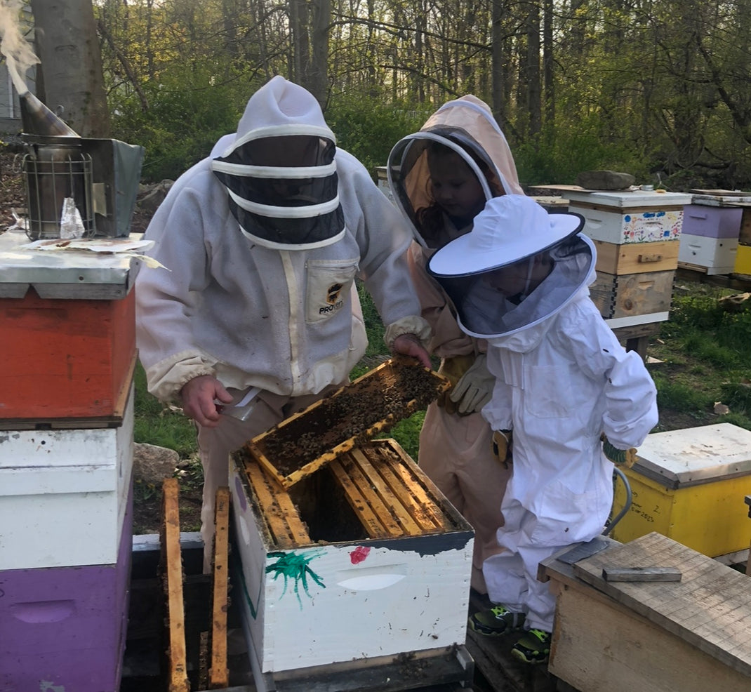 About us – PLANET BEE APIARY